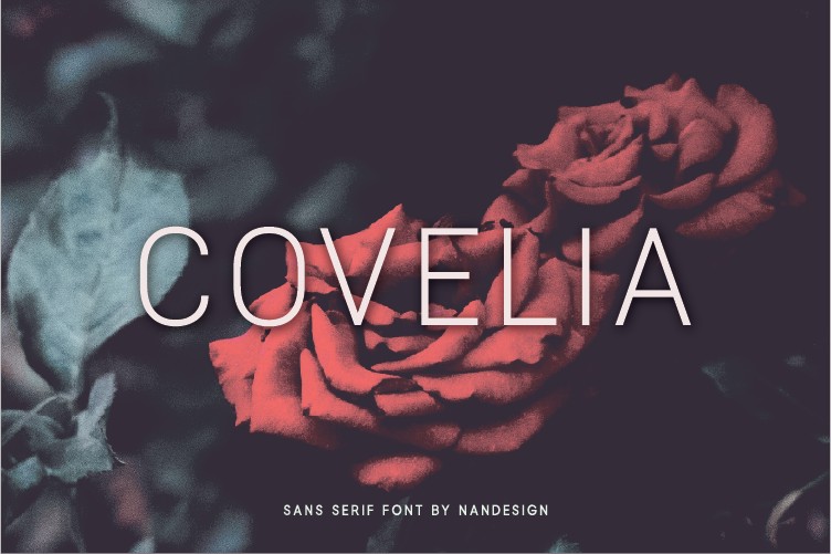 Free Light & Thin Sans Serif Fonts