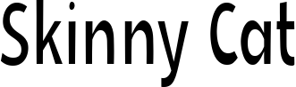 Skinny Cat - Sleek and Modern Display Sans Serif Typeface